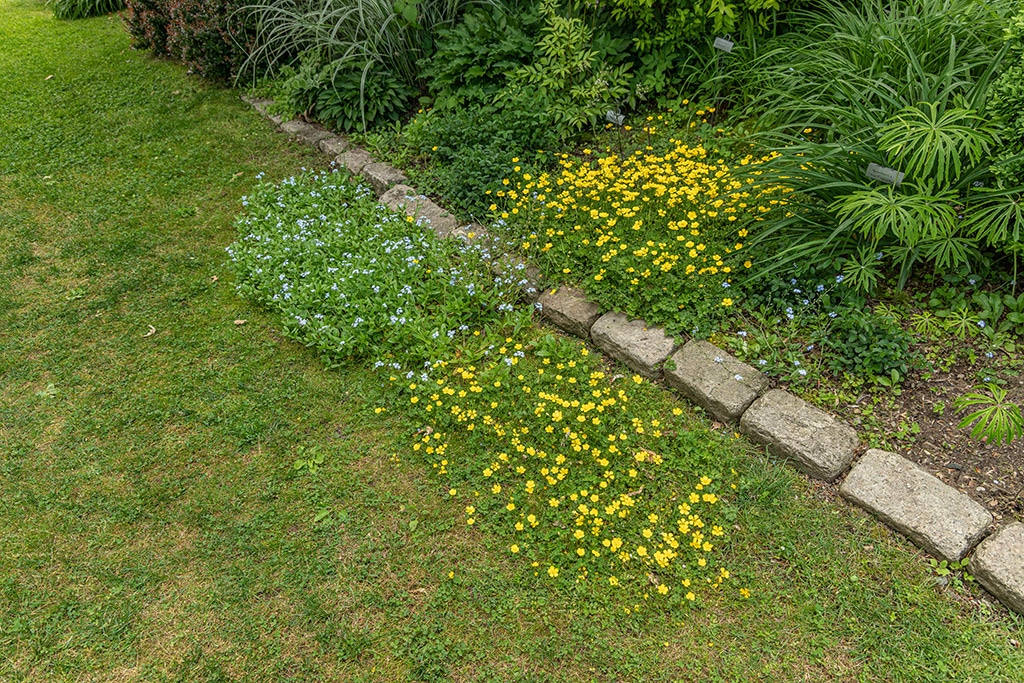 Module 2: Style - The elements of garden style - Garden Tutor